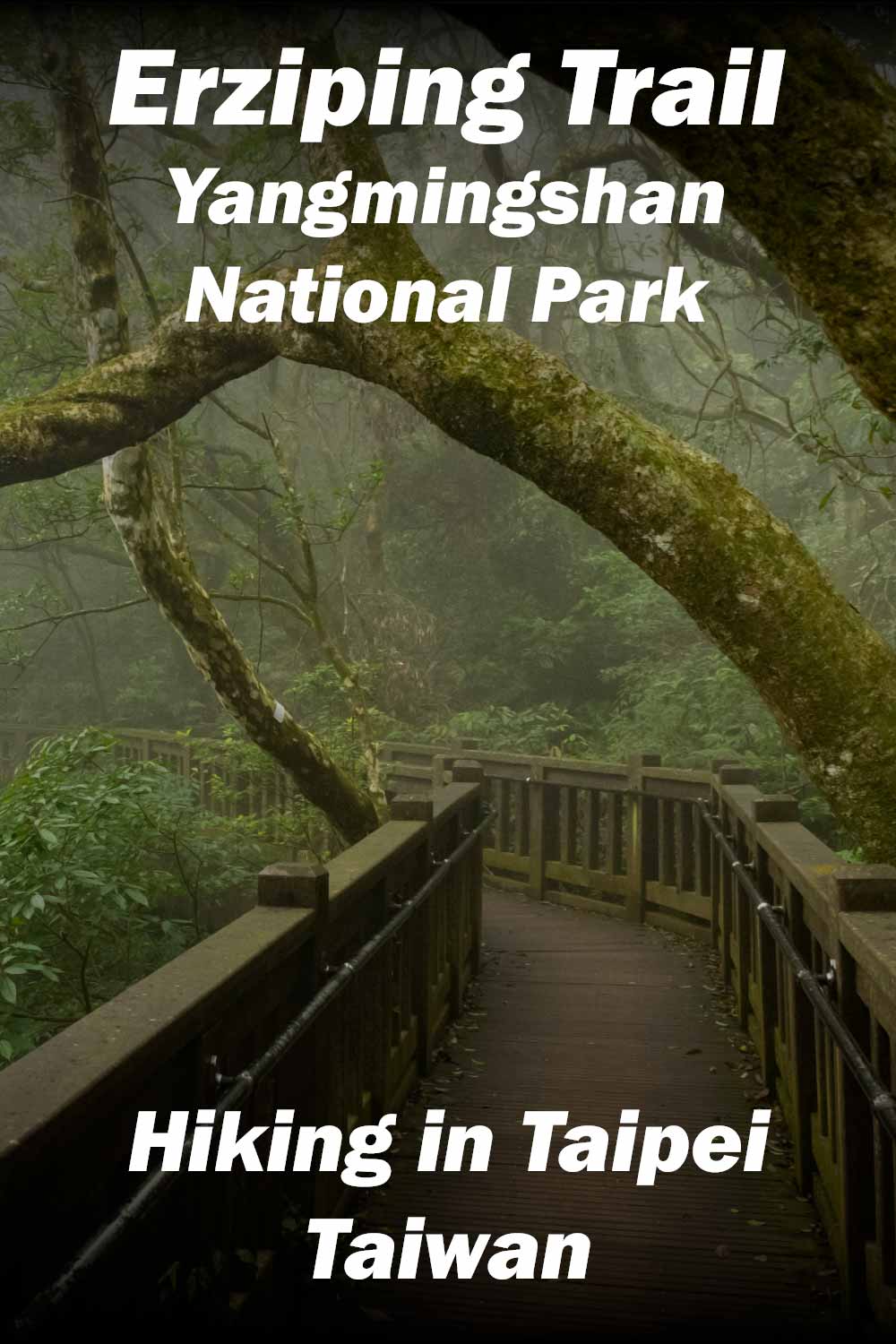 Hiking the Erziping Trail in Yangmingshan National Park, Taipei, Taiwan