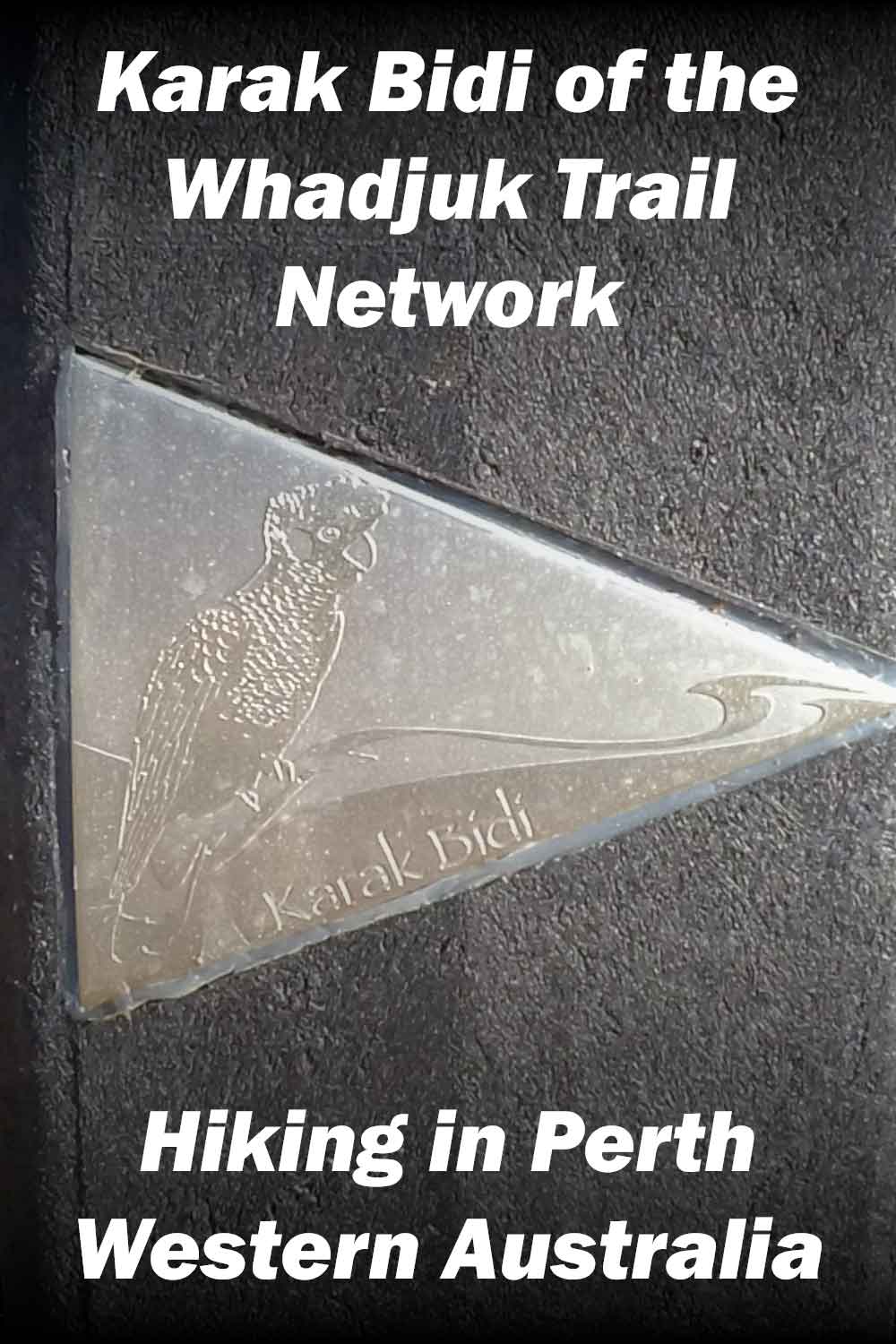 A Morning Hike on the Karak Bidi of the Whadjuk Trail Network, Perth ...