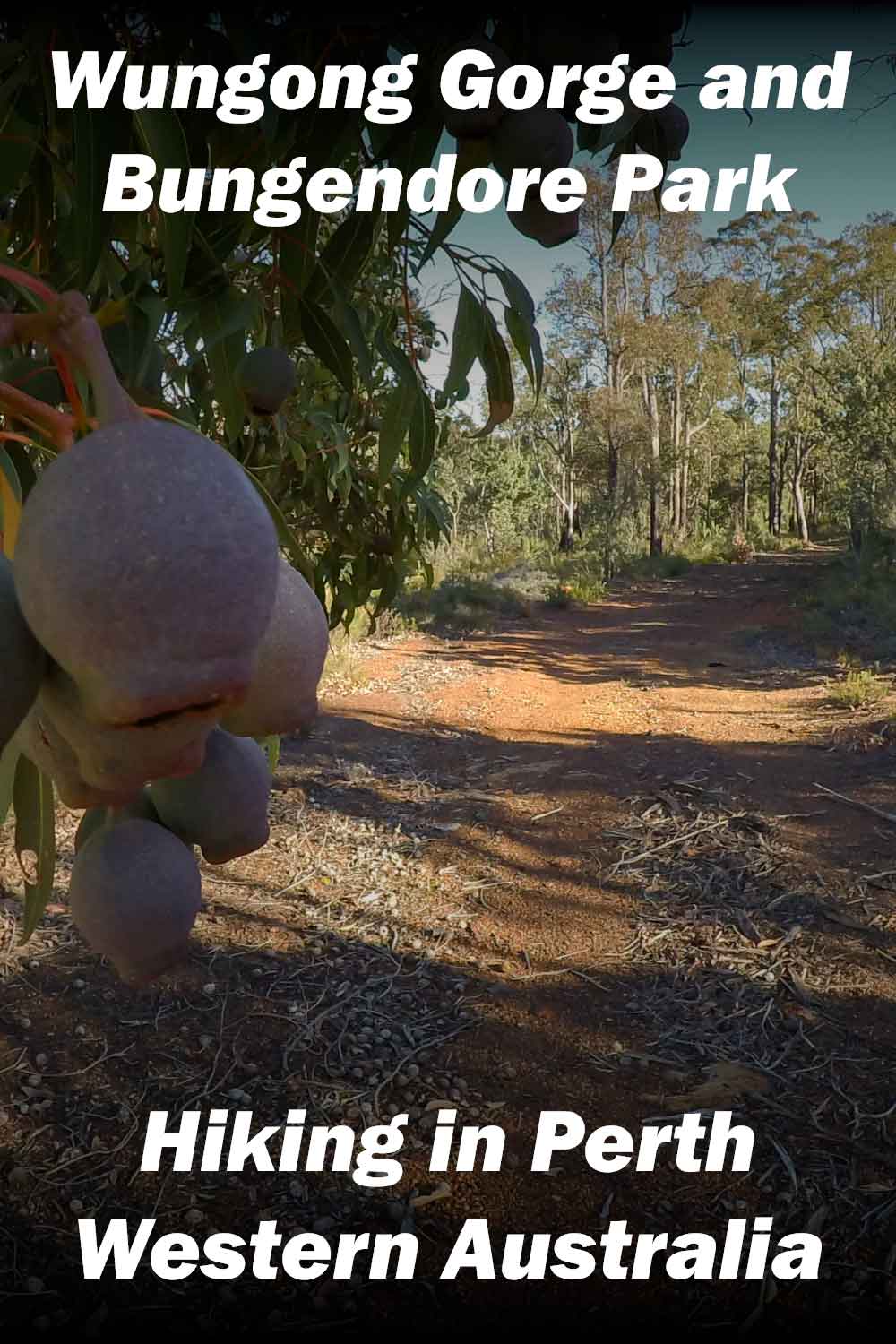 A Hike Around Wungong Gorge and Bungendore Park, Perth, Western Australia