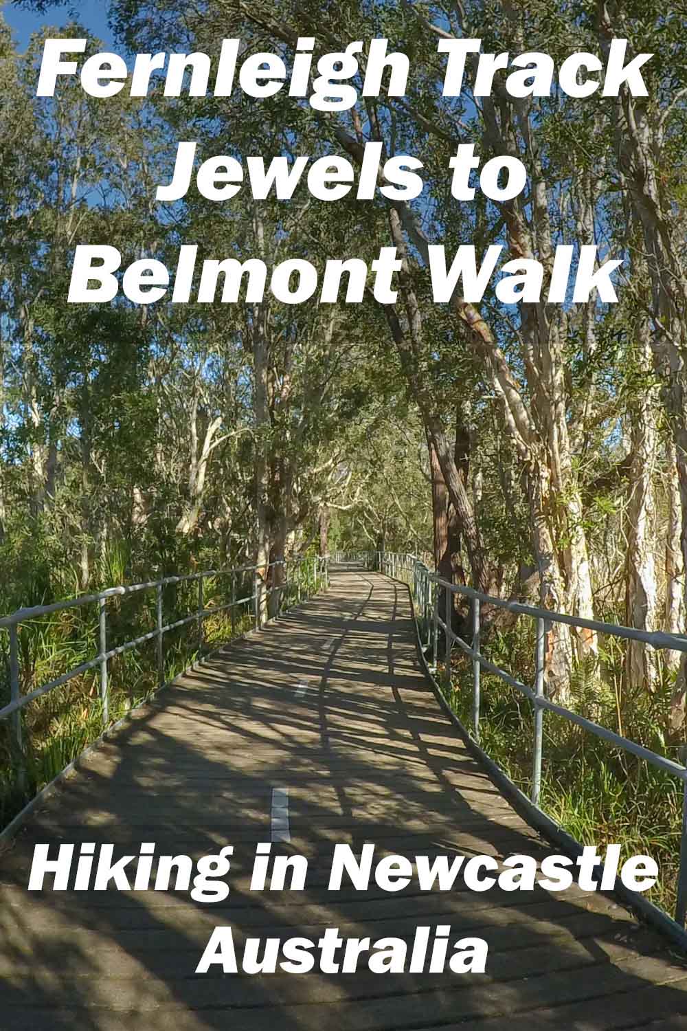 Fernleigh Track and Wildflower Walk Loop at Belmont Wetlands State Park ...