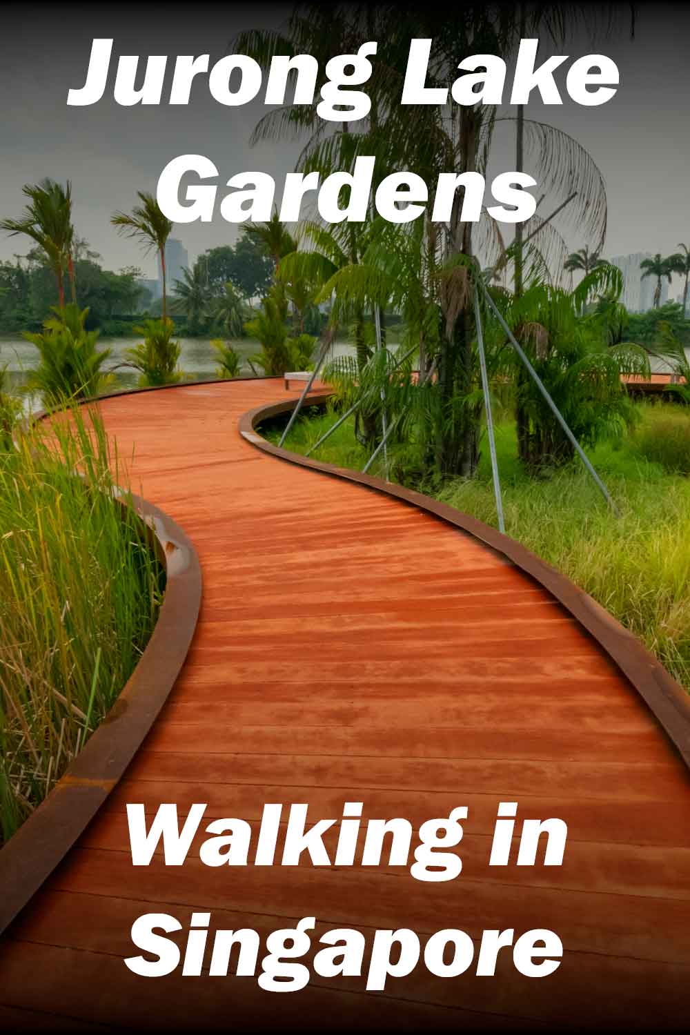 A Morning Walk in Jurong Lake Gardens, Singapore