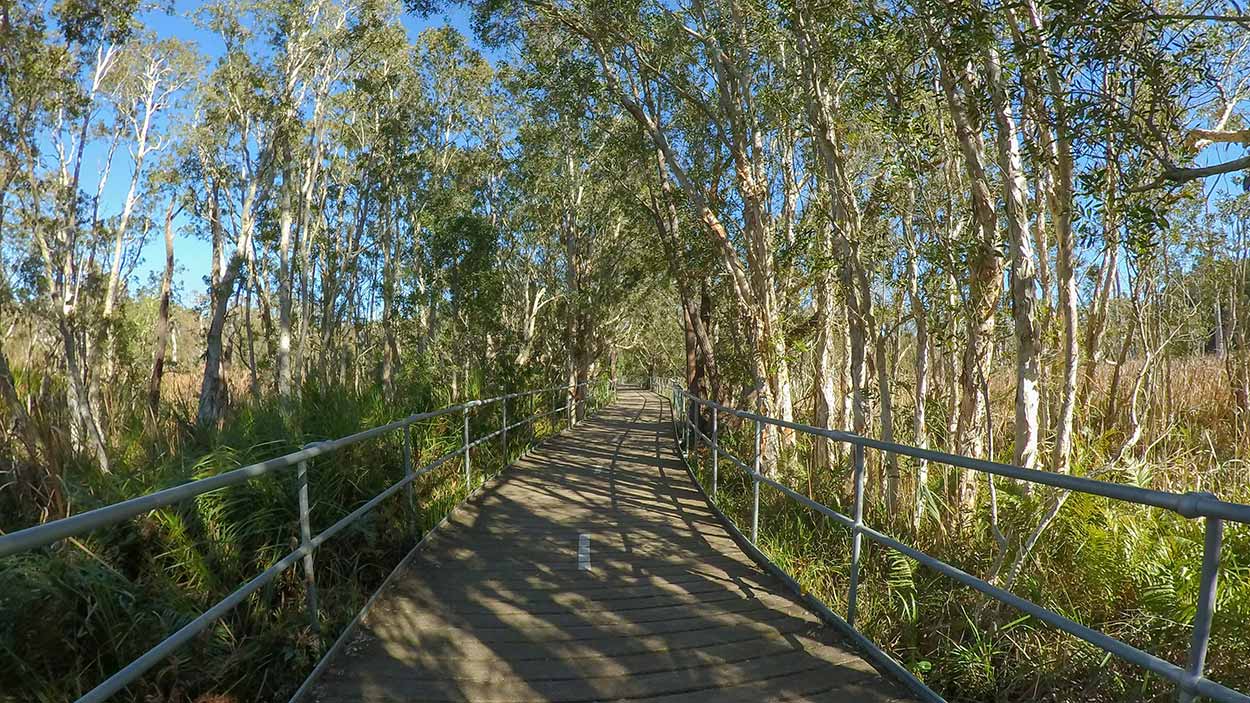 Fernleigh Track and Wildflower Walk Loop at Belmont Wetlands State Park ...