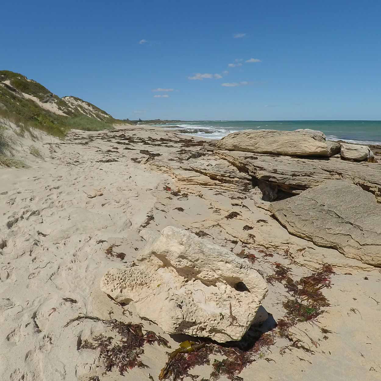 A Sandy Hike from Butler to Burns Beach, Perth, Australia