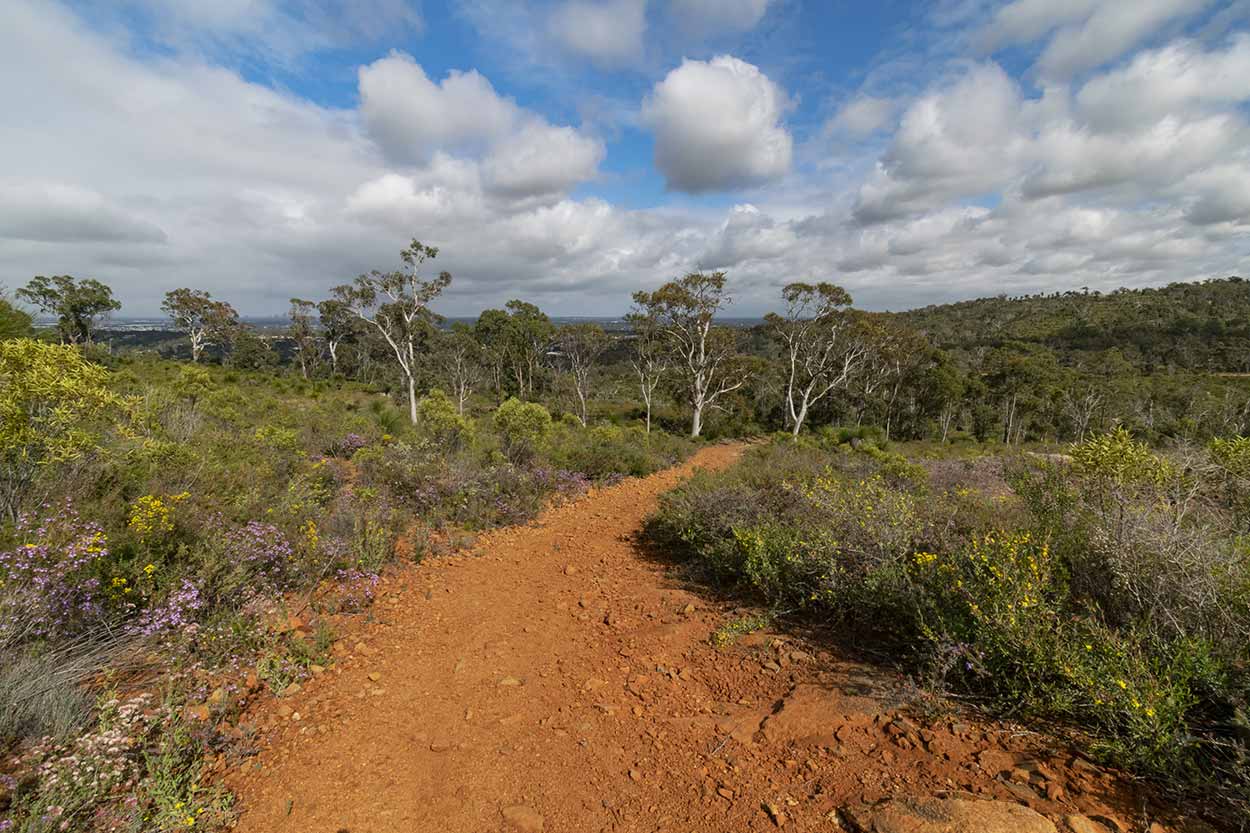 An alternative to the Eagle View Walk Trail in John Forrest National ...