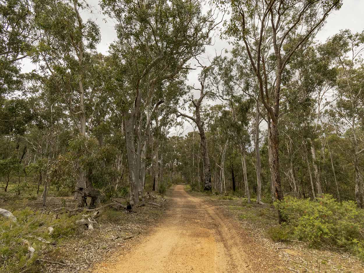 An alternative to the Eagle View Walk Trail in John Forrest National ...