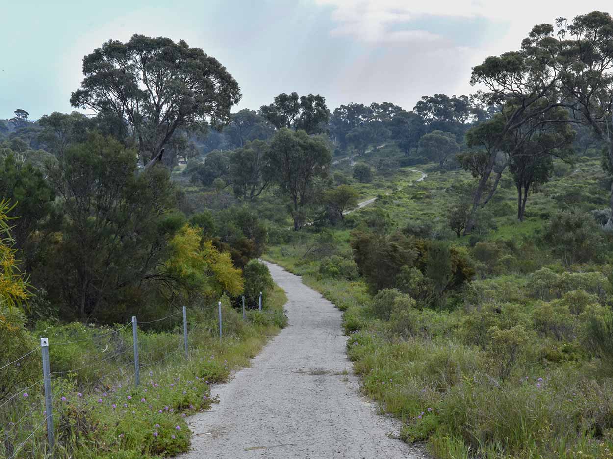 Carine Open Space to Scarborough via the Secret Garden at Careniup ...