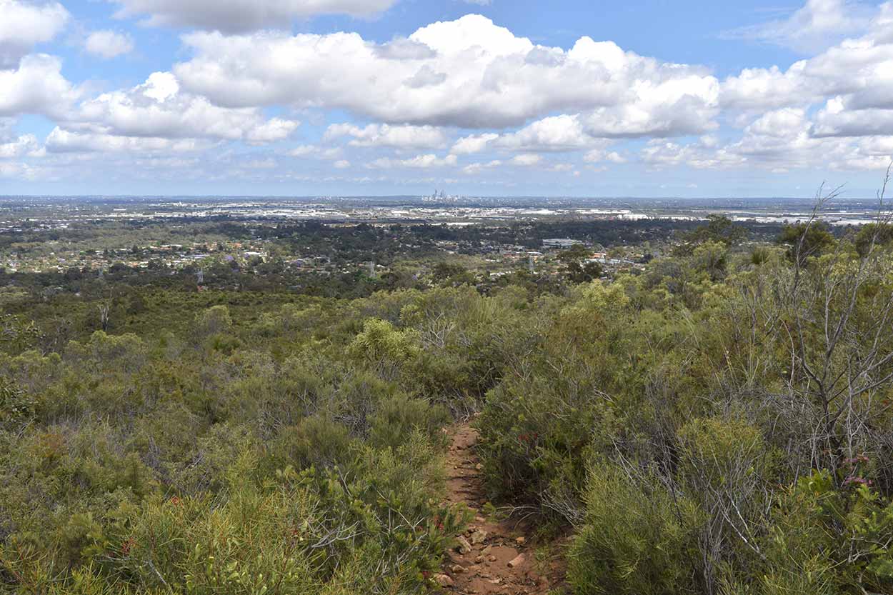 Walking along the Valley Loop Trail north of Lesmurdie Brook: A ...