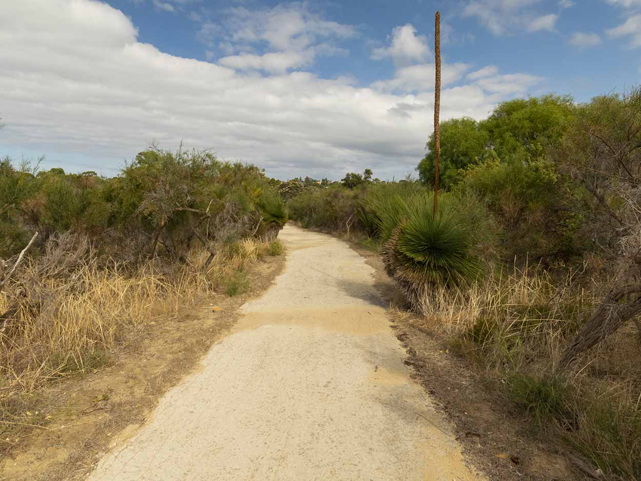 Carine Open Space, Star Swamp Reserve and a beach walk to Scarborough ...