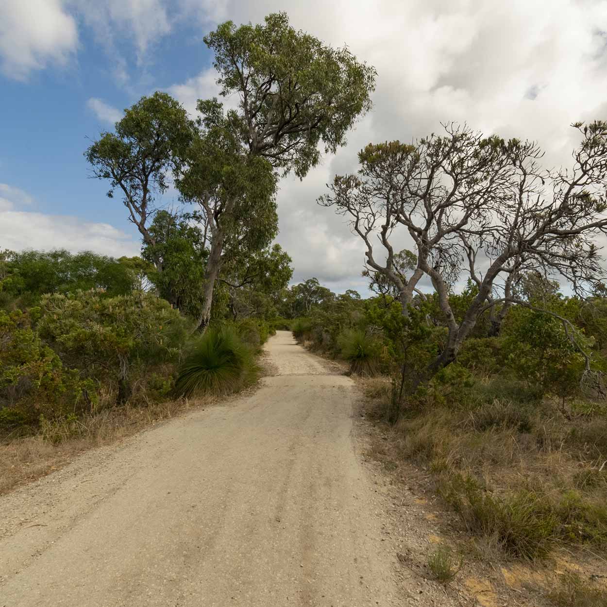 Carine Open Space, Star Swamp Reserve and a beach walk to Scarborough ...