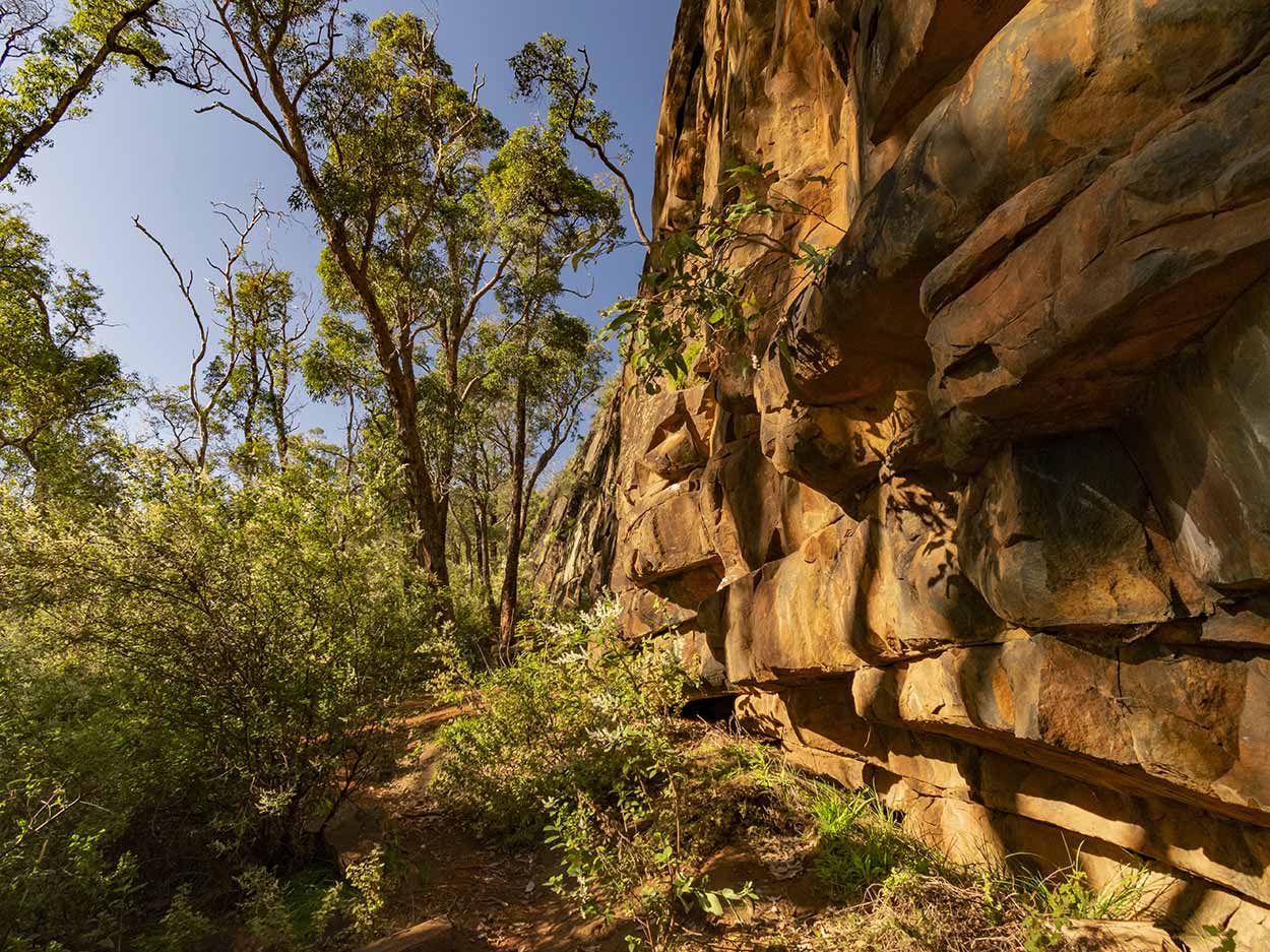 Hiking Northern Wungong Regional Park and Armadale Settlers Common ...