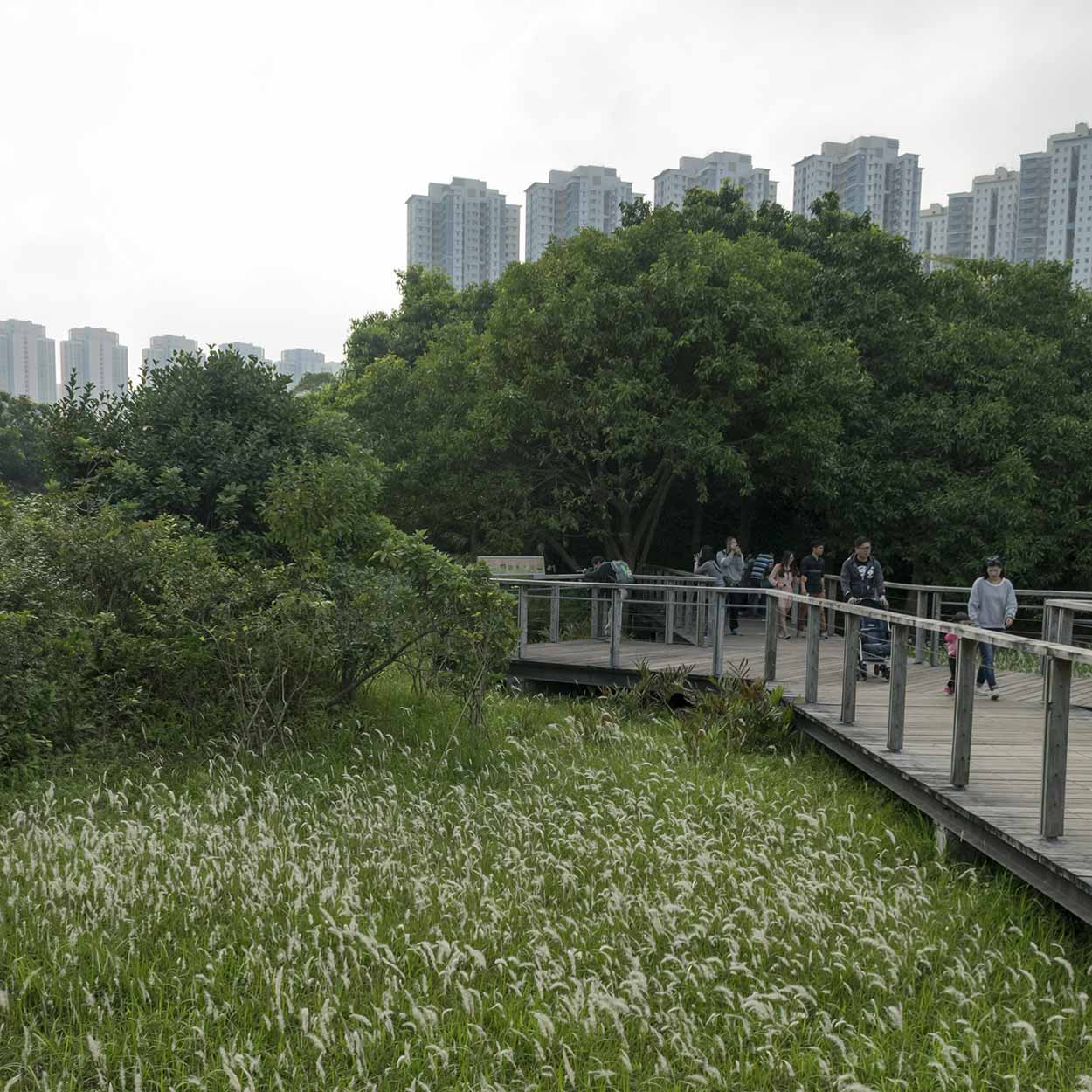 A Stroll Around Hong Kong Wetland Park, Hong Kong, China
