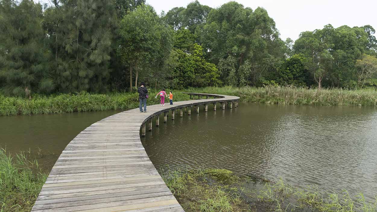 A Stroll Around Hong Kong Wetland Park, Hong Kong, China