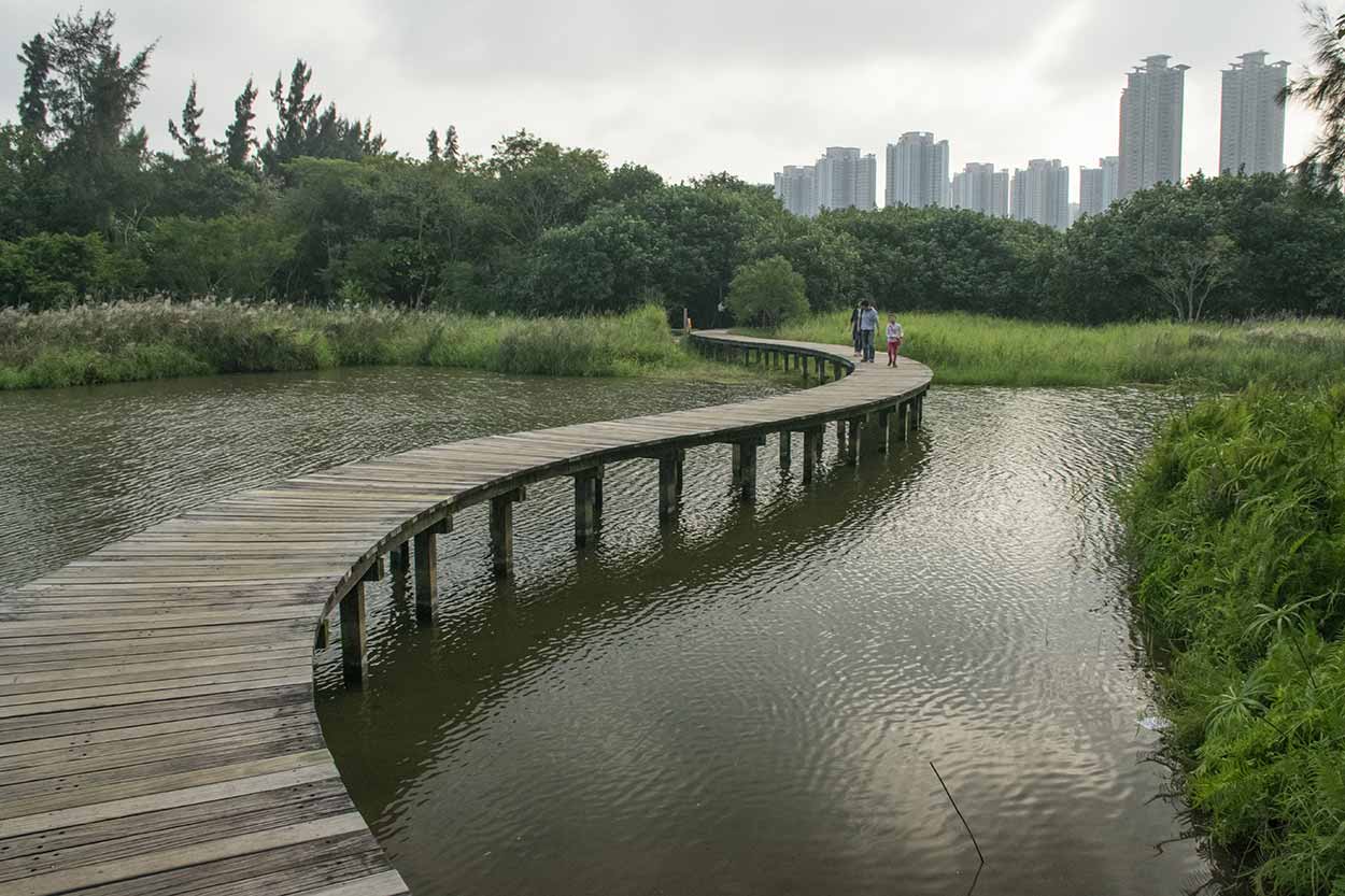 A Stroll Around Hong Kong Wetland Park, Hong Kong, China