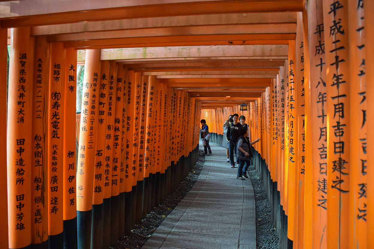 Hiking Under the Torii of Fushimi Inari Taisha, Fushimi-ku, Kyoto, Japan