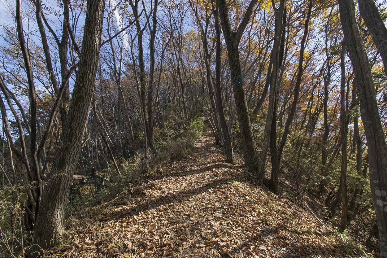 Winter is on its way on the ridgeline between Mount Nokogiri and Mount ...