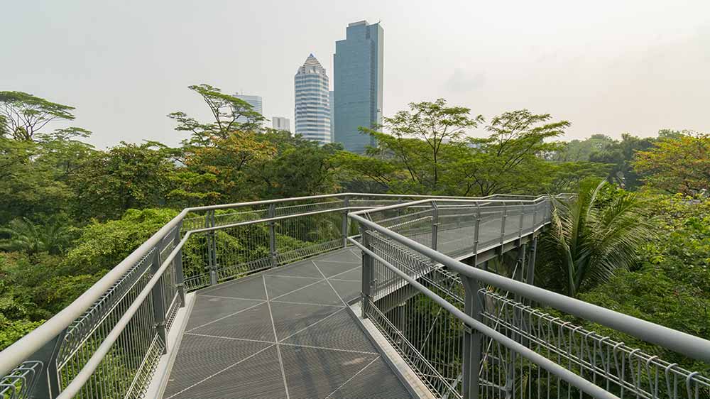 Southern Ridges Forest Walk: A photograph from Southern Ridges ...