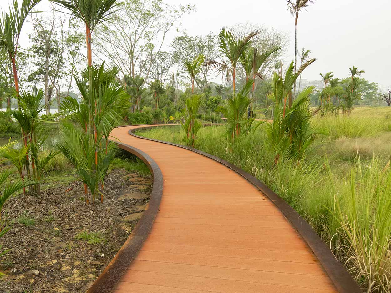 A Morning Walk in Jurong Lake Gardens, Singapore