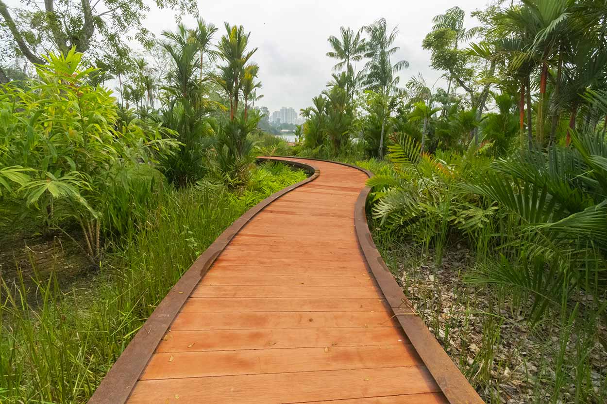 A Morning Walk in Jurong Lake Gardens, Singapore