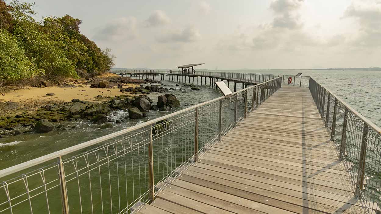 An Urban Escape from Singapore with a Walk Around Pulau Ubin, Singapore