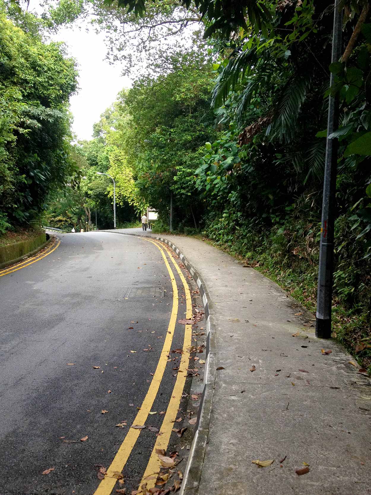 Walking along Mount Faber Road: A photograph from Southern Ridges ...