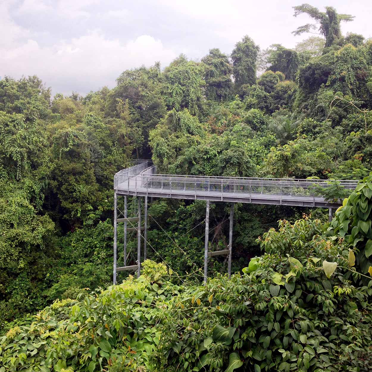 Southern Ridges Walk, Singapore