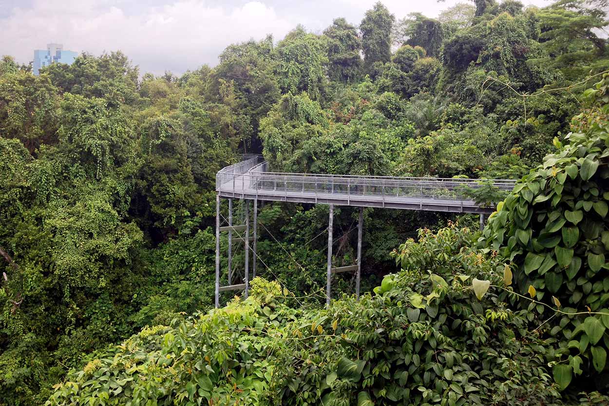 Southern Ridges Walk, Singapore