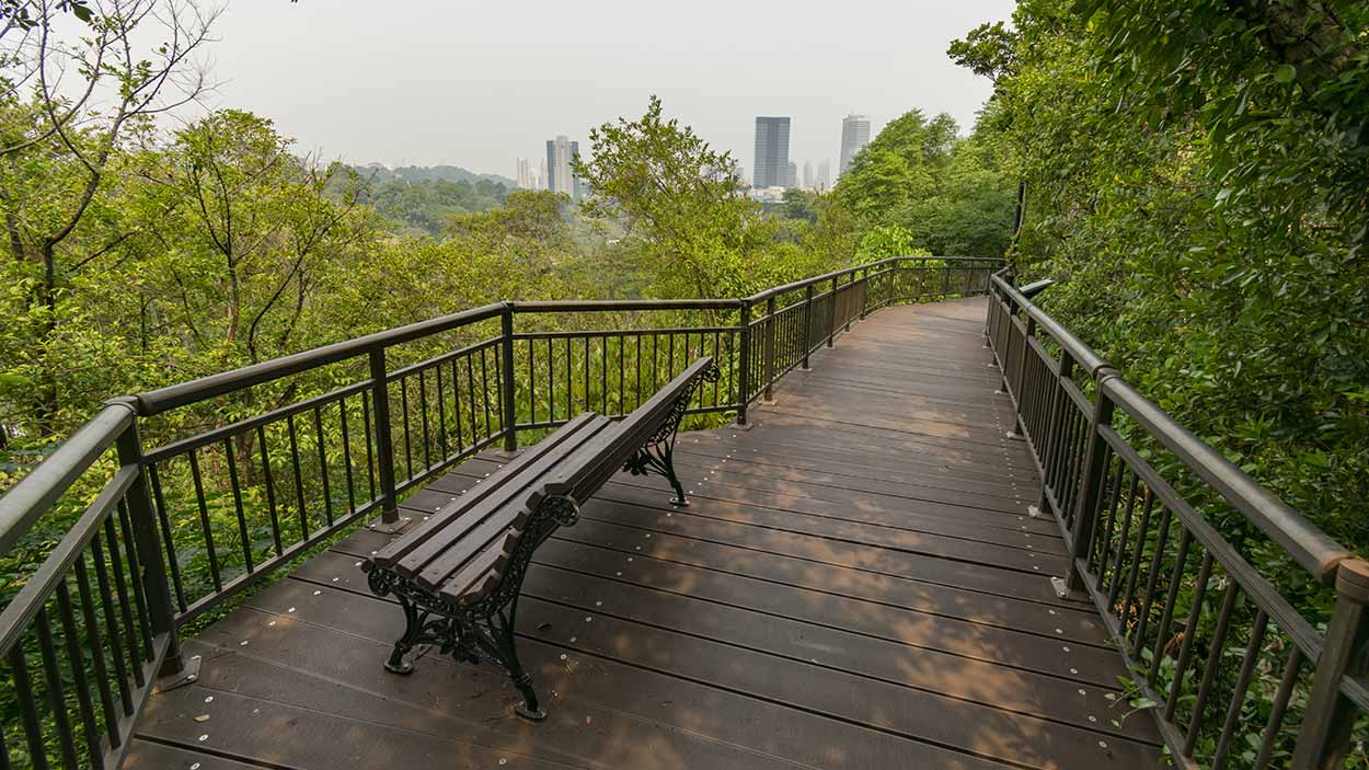 Exploring the Southern Ridges Walking Trail, Singapore