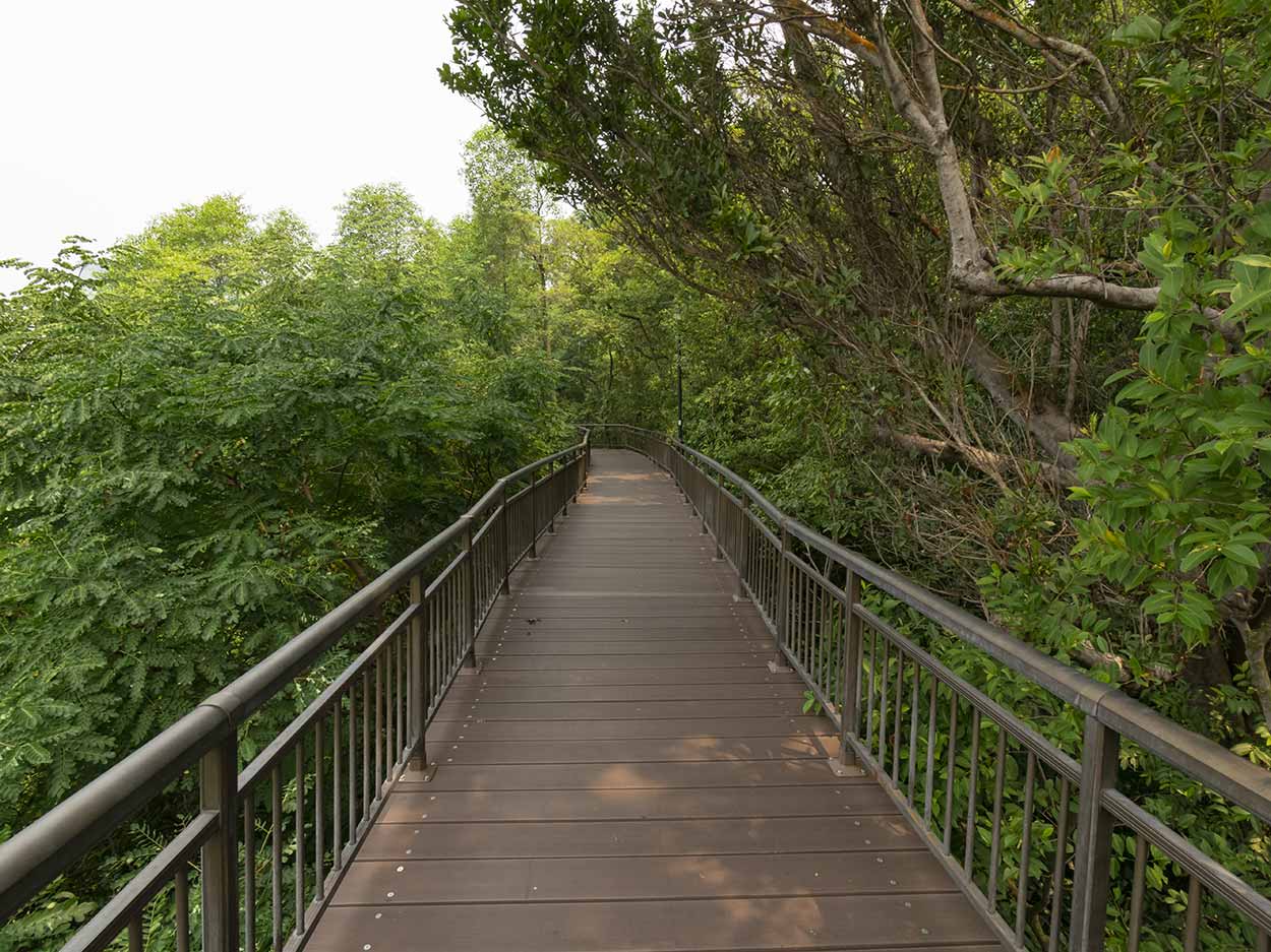 Exploring the Southern Ridges Walking Trail, Singapore
