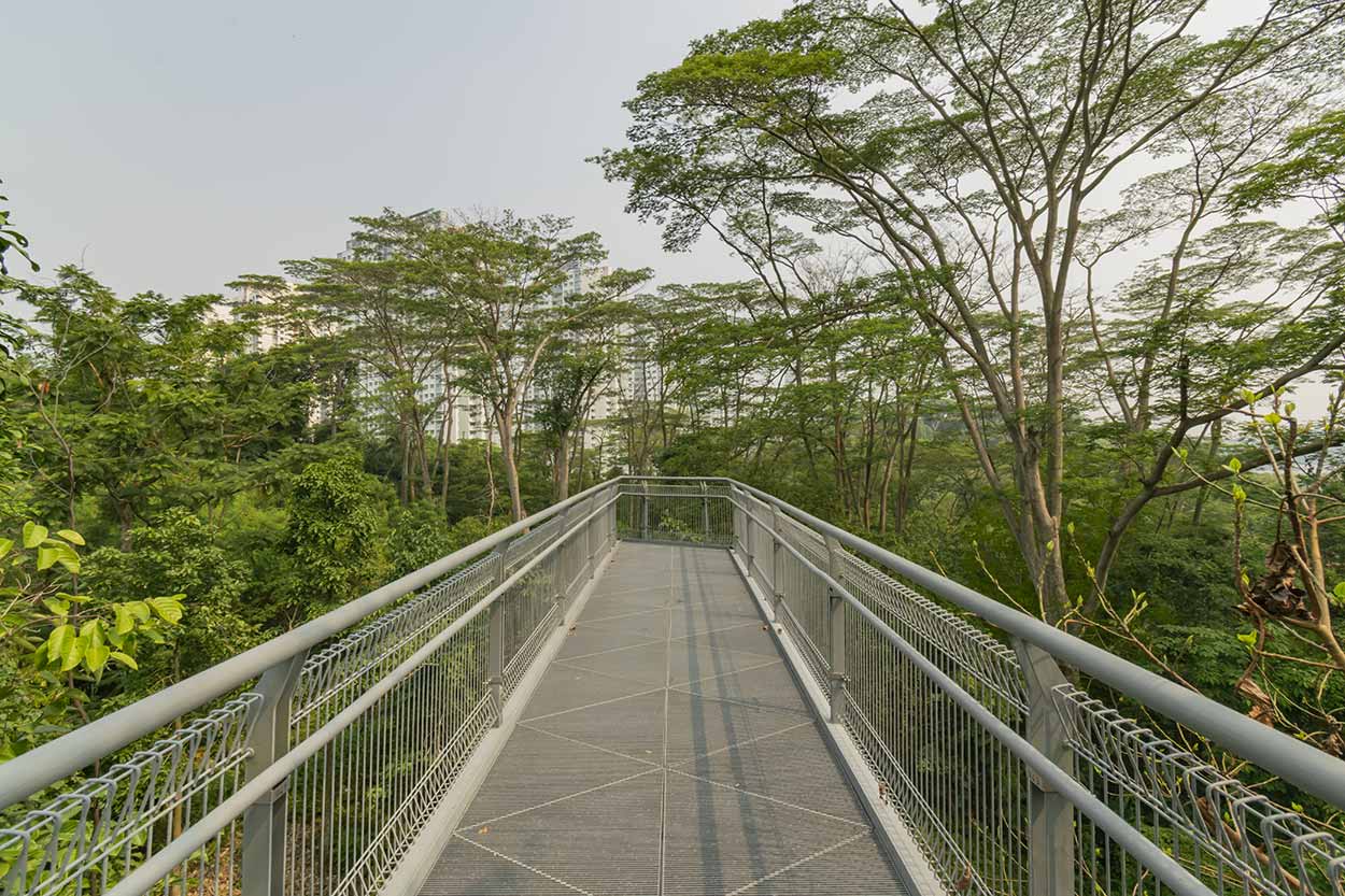 Exploring the Southern Ridges Walking Trail, Singapore
