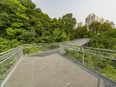 Southern Ridges Forest Walk: A photograph from Southern Ridges ...