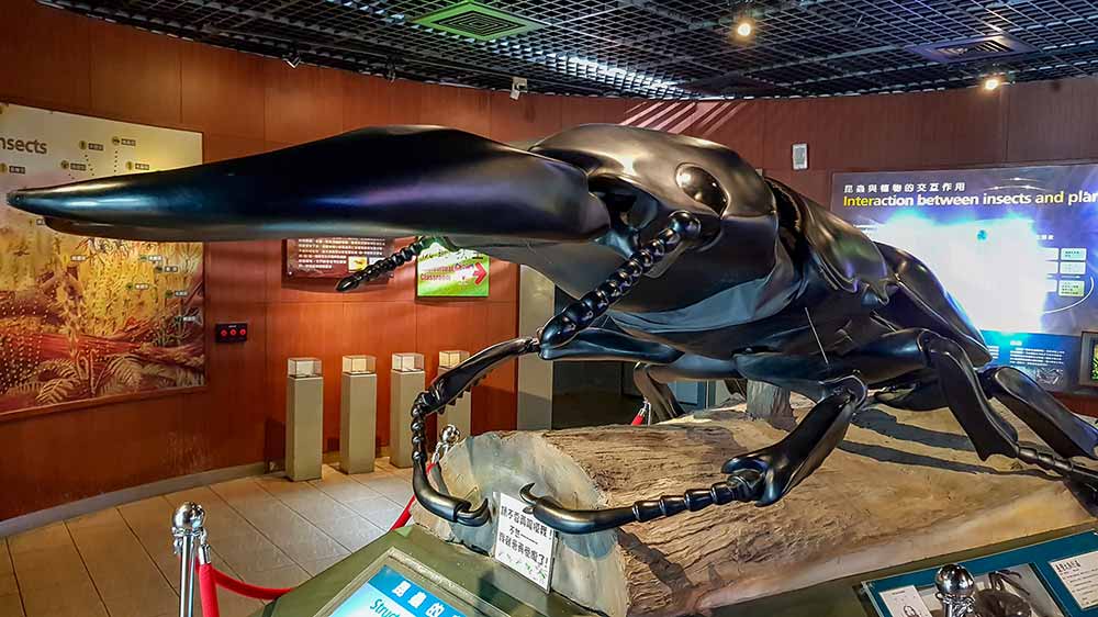 Inside the Insectarium: A photograph from Taipei Zoo, Taipei, Taiwan