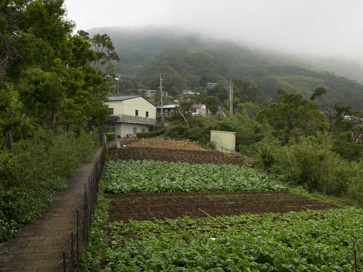 Hiking the Erziping Trail in Yangmingshan National Park, Taipei, Taiwan